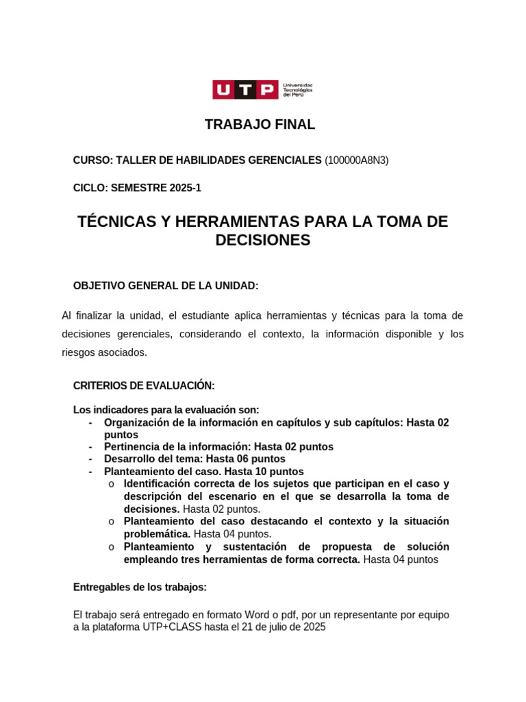 Indicaciones para El Trabajo Final | PDF