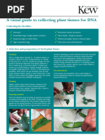 Class 9 Case Study Questions on Tissues | PDF | Tissue (Biology ...