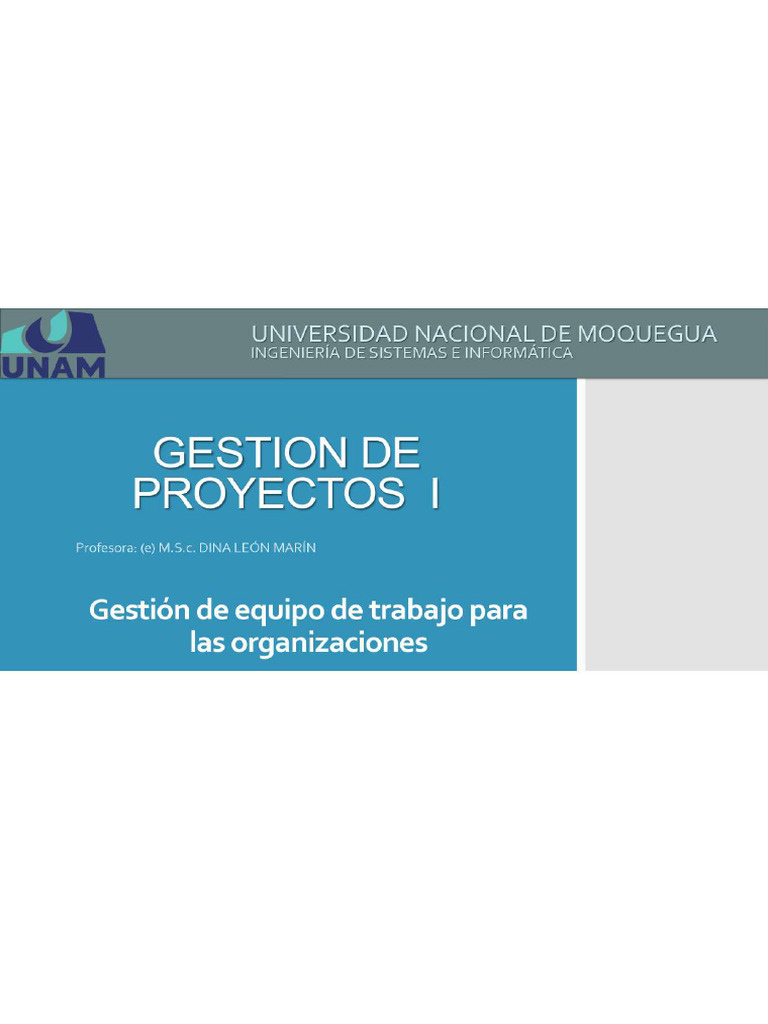 SEM 11 - Gestién de Equipo de Trabajo para Las Organizaciones | PDF