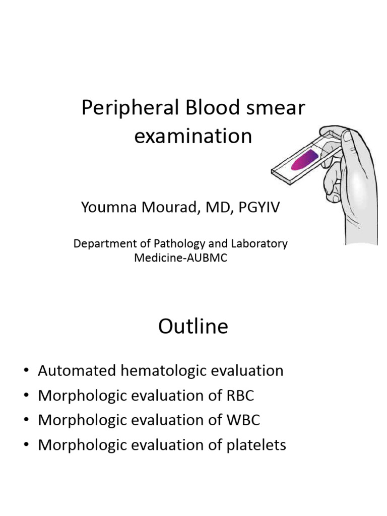 Blood Smear | PDF | Anemia | Red Blood Cell