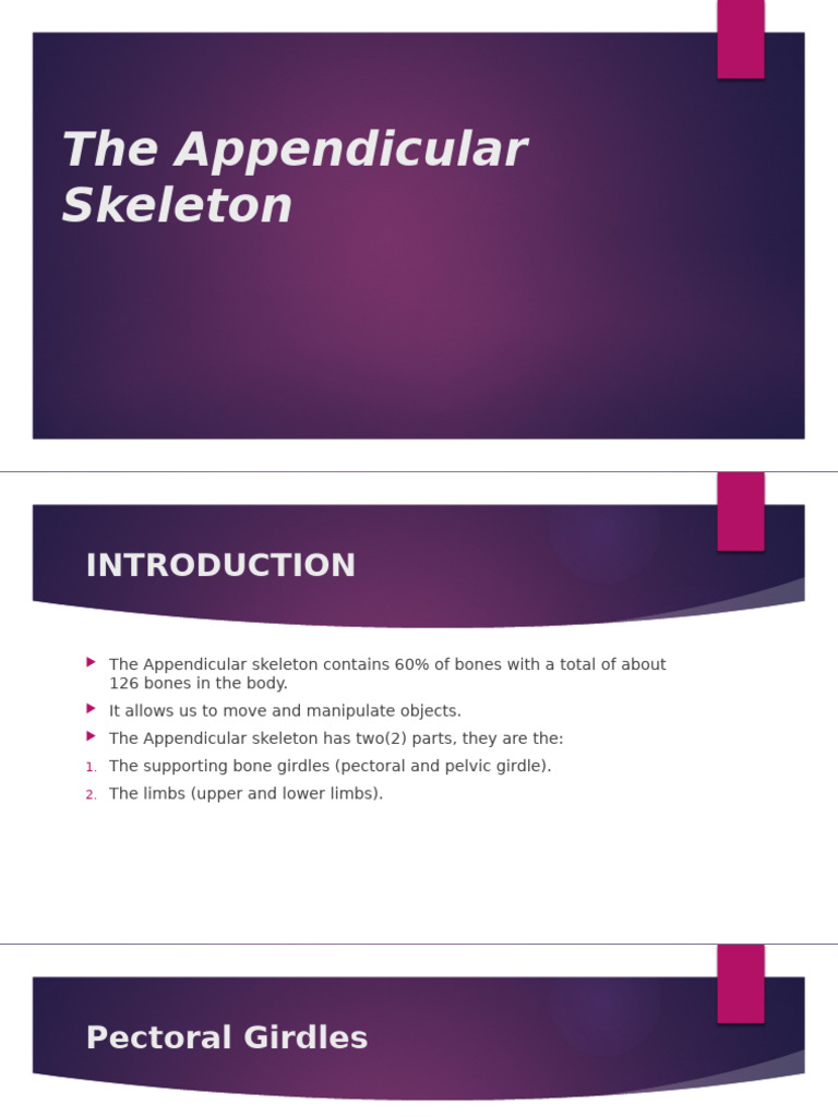 Overview of the Appendicular Skeleton | PDF
