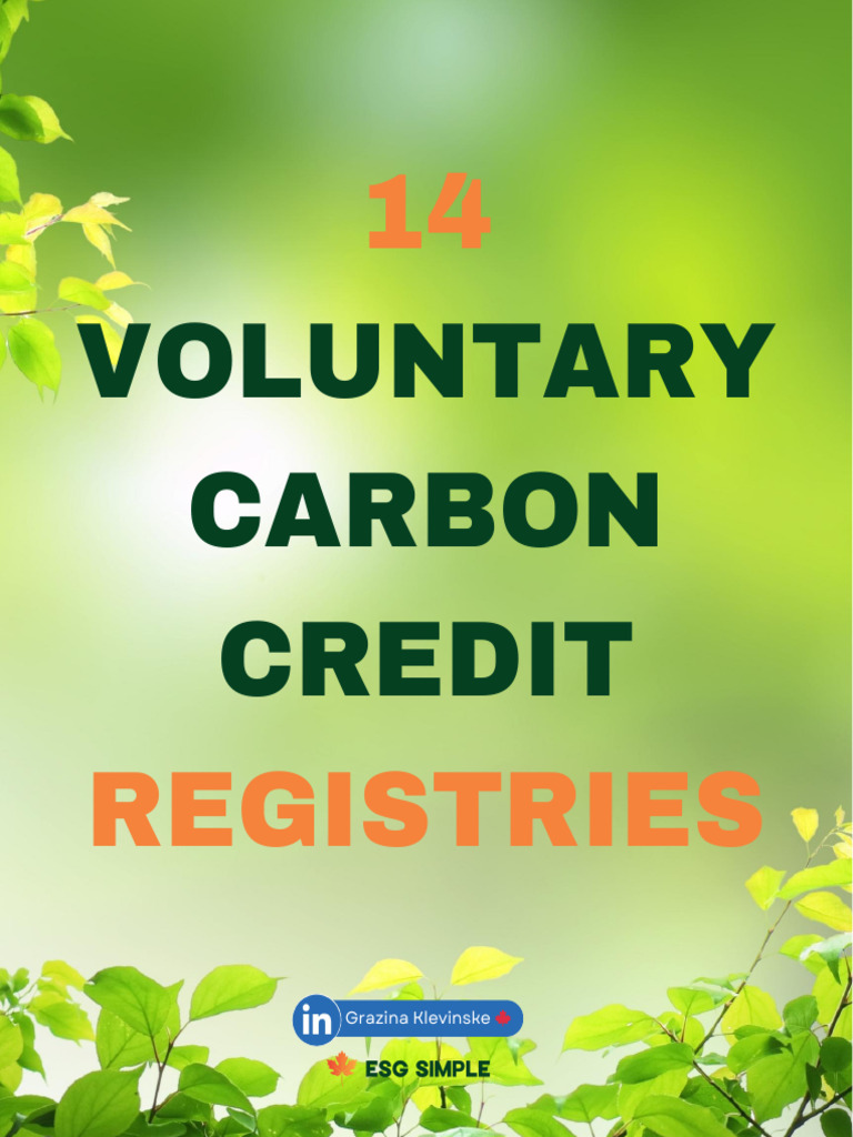 Overview of Voluntary Carbon Registries | PDF | Carbon | Climate Change