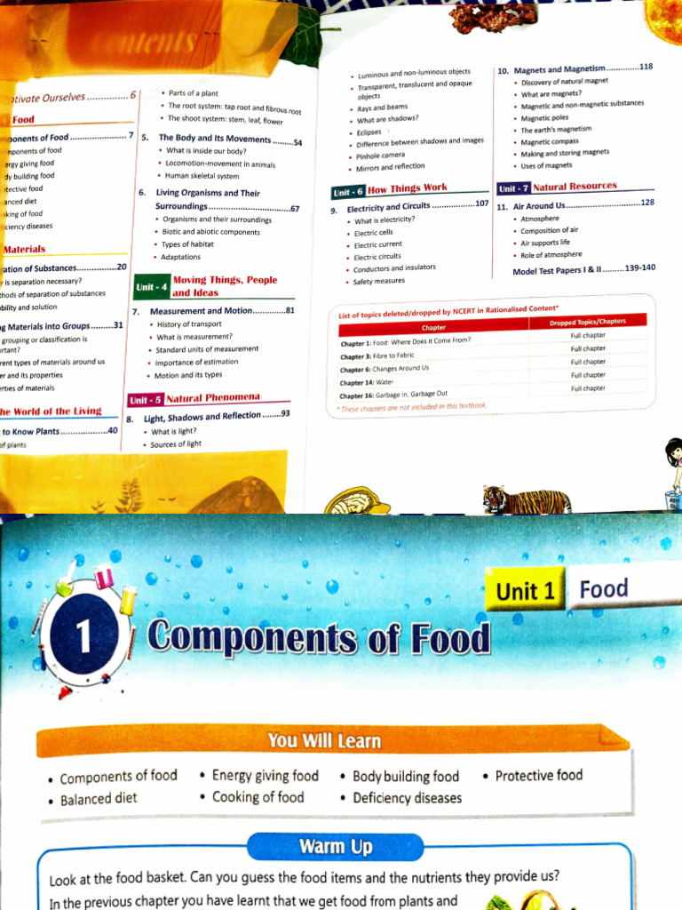 Components of Food and Nutrition Guide | PDF | Foods | Carbohydrates