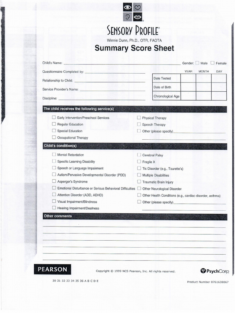 Summary Score Sheet 2 | PDF