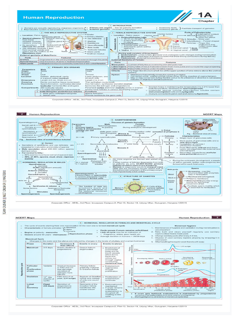 Aakash 12th NCERT MAPS Zoology 2025 Master X | PDF
