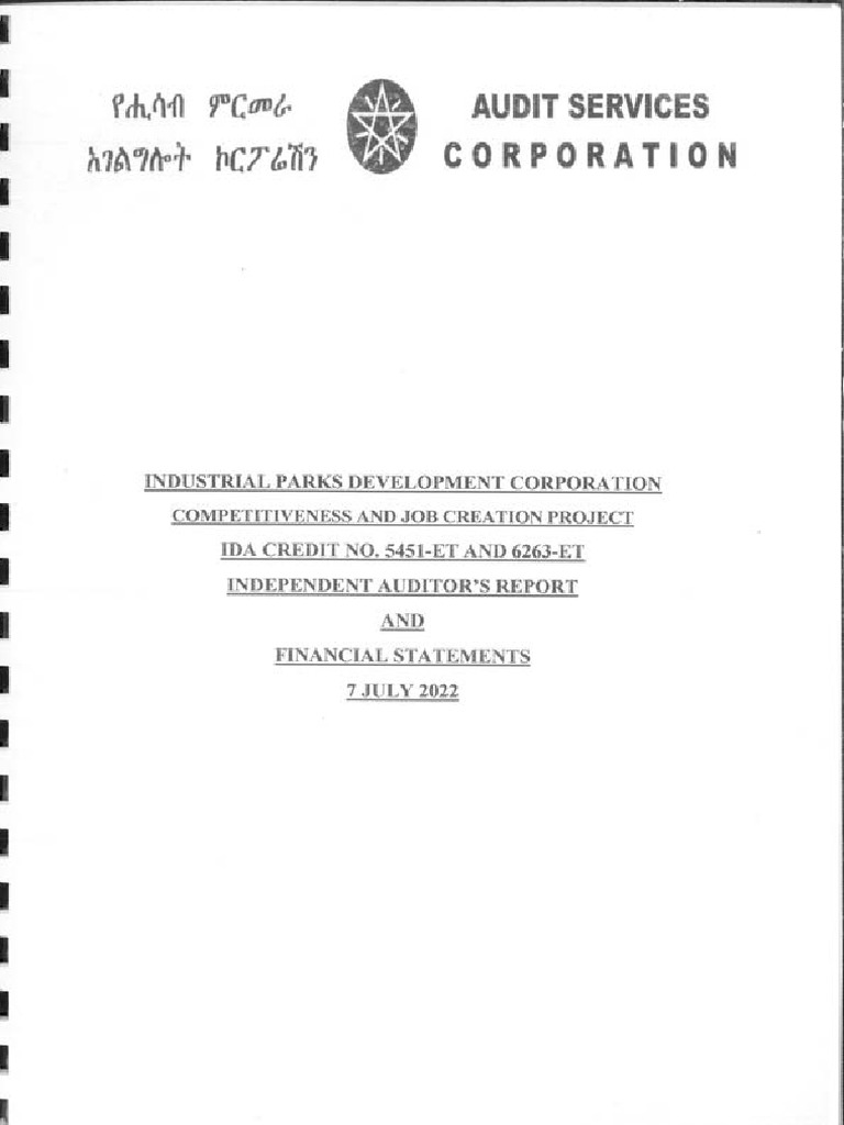 AUDIT 1 Compressed | PDF