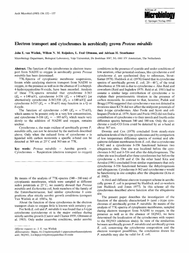 Electron Transport and Cytochromes in Aerobically Grown Proteus ...