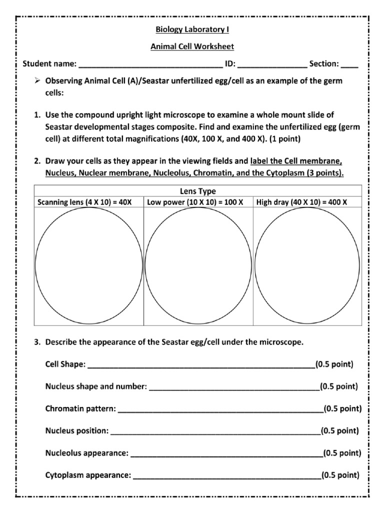 Biology Laboratory I-Animal Cell Worksheet | PDF