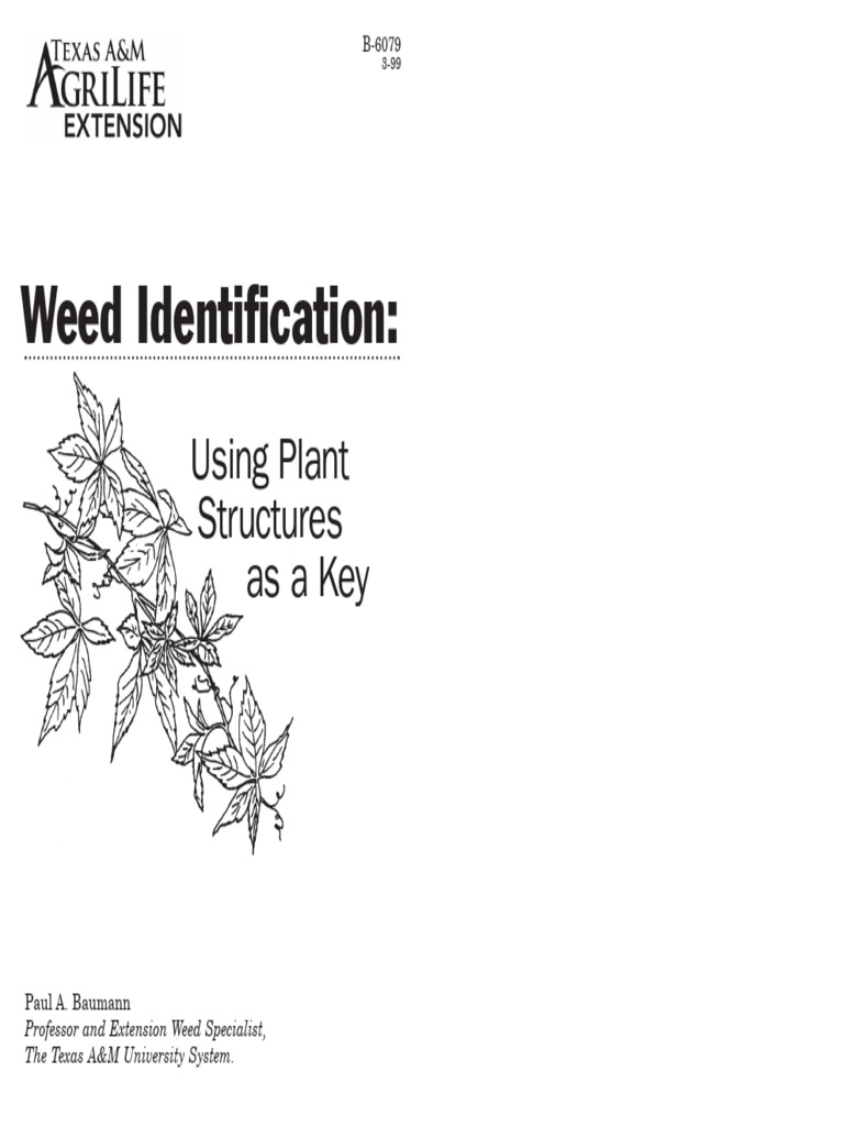 Weed Identification - Using Plant Structures As Key | PDF | Leaf ...
