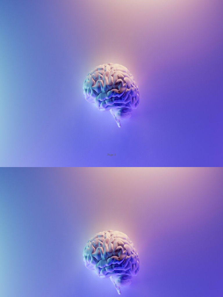 OOP Presentation With Real Brain Image | PDF