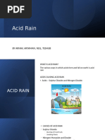 Understanding Acid Rain Effects | PDF | Fuels | Soil