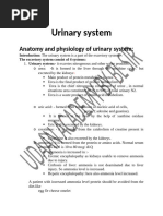 Nephrosteril | PDF | Intravenous Therapy | Anemia