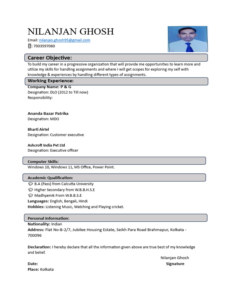 Nilanjan Ghosh: Career Overview | PDF