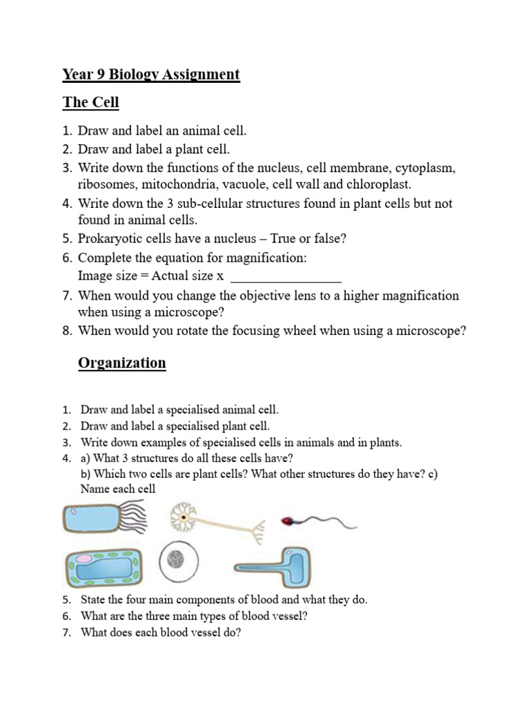 Year 9 Biology Assignment | PDF