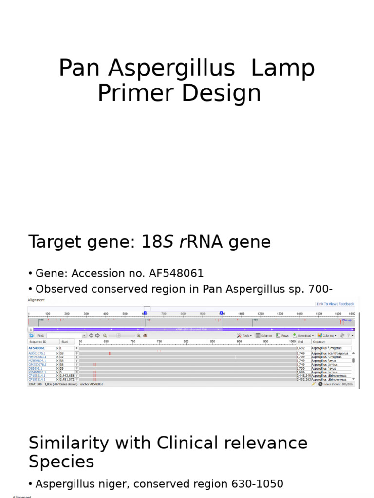 ASP Primer Design History | PDF