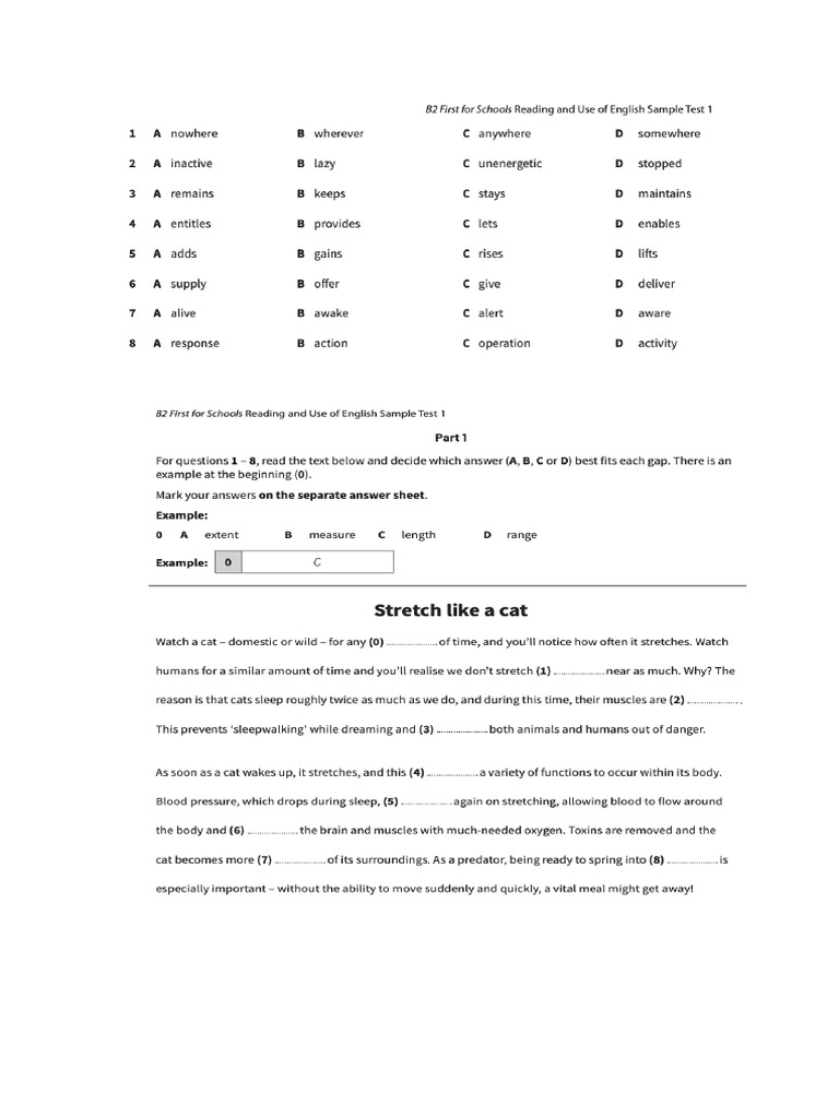 First Certificate Cambridge | PDF
