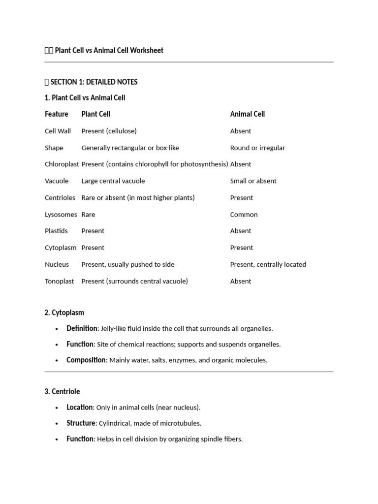 Plant vs Animal Cell Worksheet | PDF | Cell (Biology) | Cytoplasm