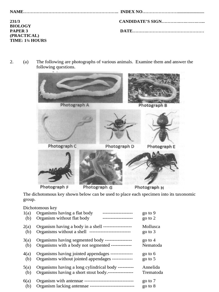 Form 4 Biology Practical Guide | PDF | Arthropods