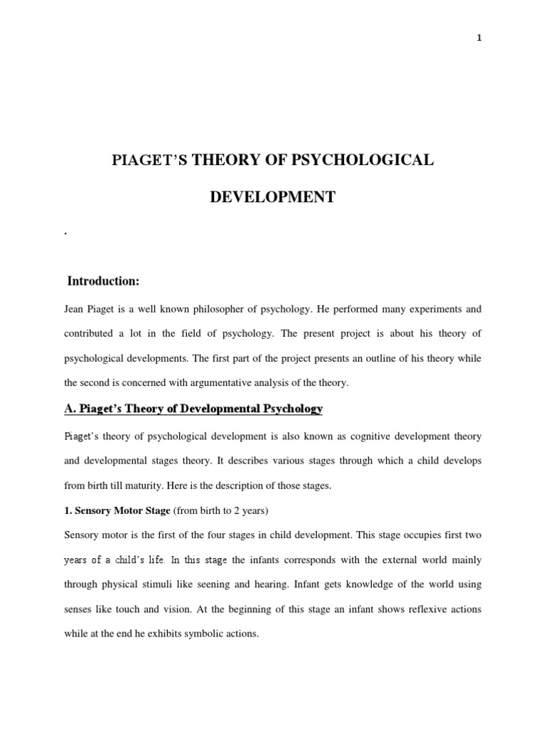 Piaget Assignment | PDF | Developmental Psychology | Metaphysics Of Mind