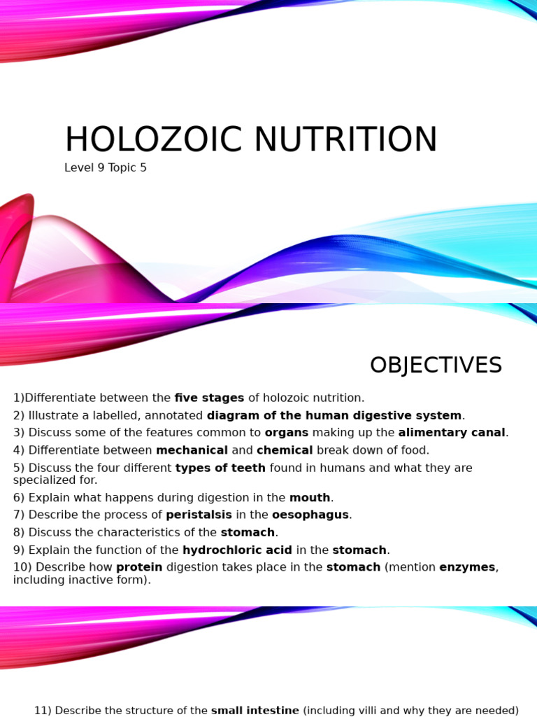 Holozoic Nutrition | PDF | Digestion | Small Intestine