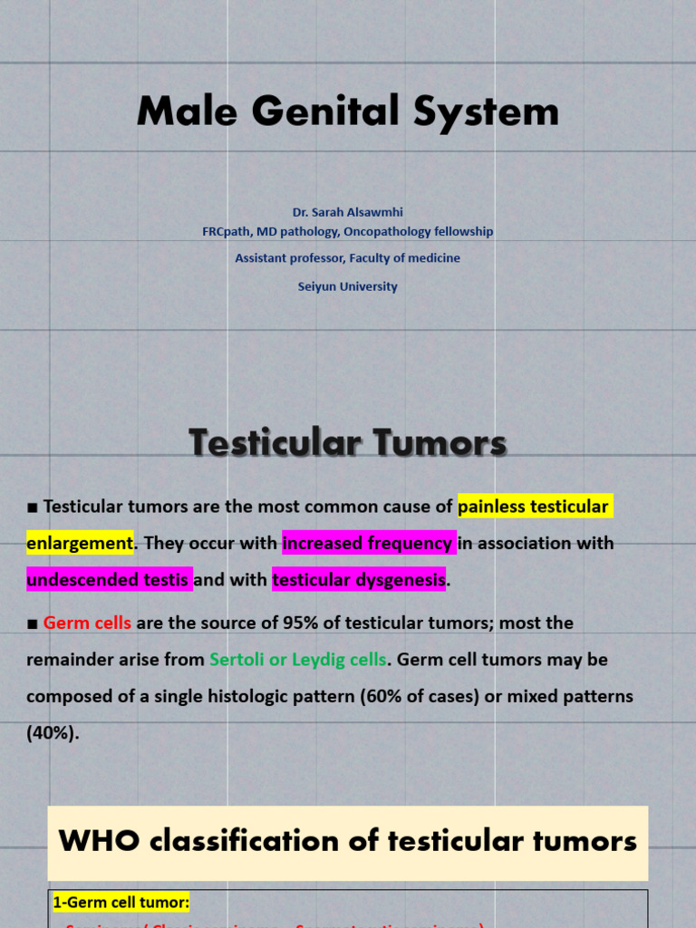 Pathology of Male Genital Sys | PDF | Prostate | Carcinoma