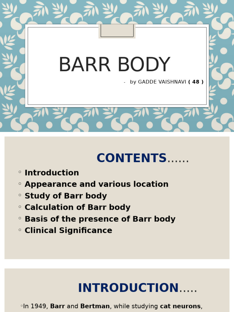 Barr Body | PDF