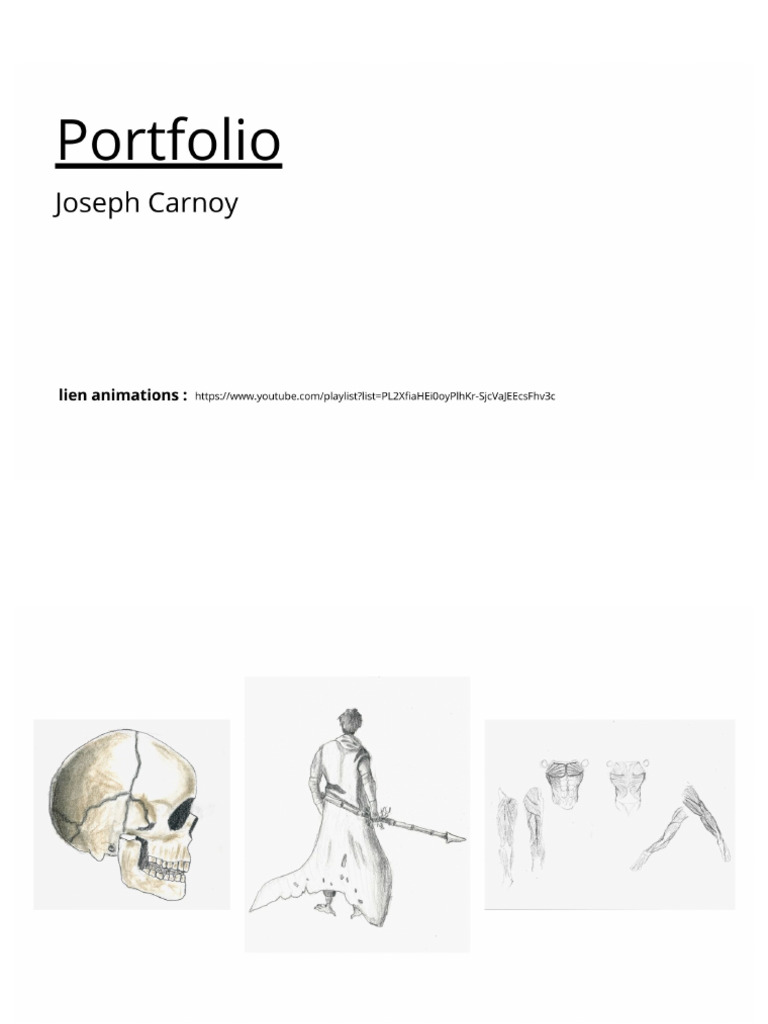 Portfolio Parcoursup Final | PDF