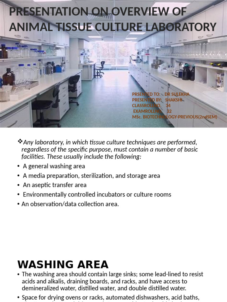 Overview of Animal Tissue Culture Lab | PDF | Sterilization ...