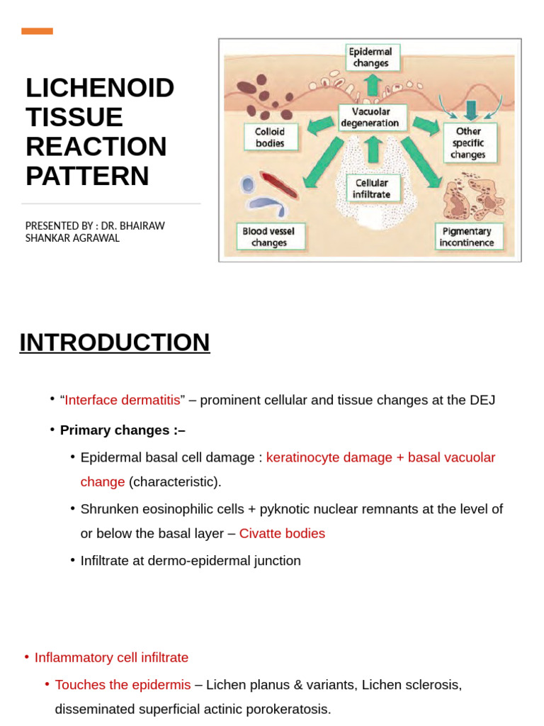 Lichenoid Tissue Reaction | PDF | Epidermis | Diseases And Disorders