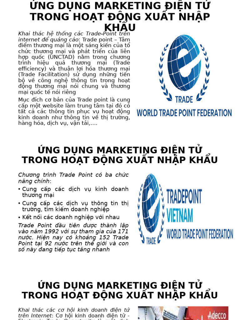 Ứng Dụng Marketing Điện Tử Trong Hoạt Động Snk | PDF