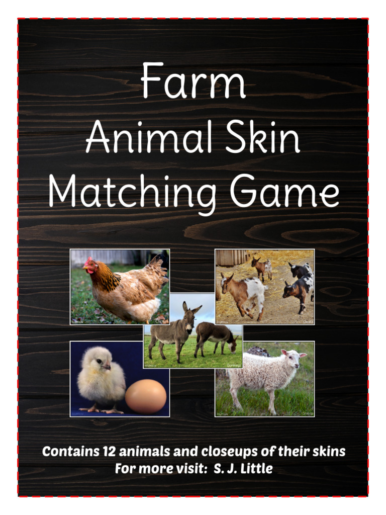 Farm Animal Skin Matching Game | PDF