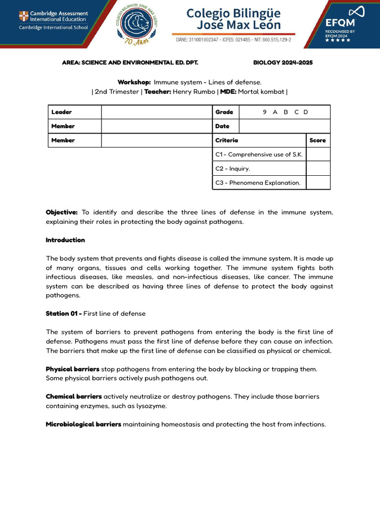 Workshop ++Immune+System+-+Lines+of+Defense | PDF | White Blood Cell ...