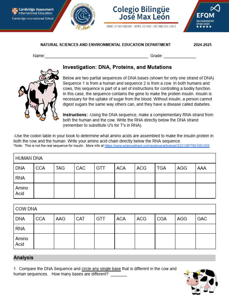 DNA Mutations and Protein Synthesis | PDF | Nucleic Acid Sequence ...