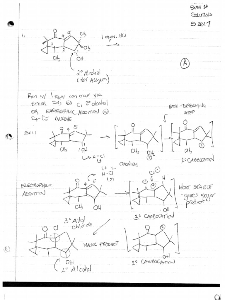 S 17 Ex 1 Asol | PDF