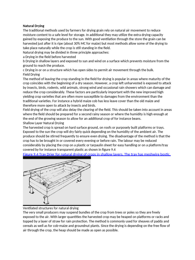 AGRI ENG Natural Drying | PDF | Humidity | Maize