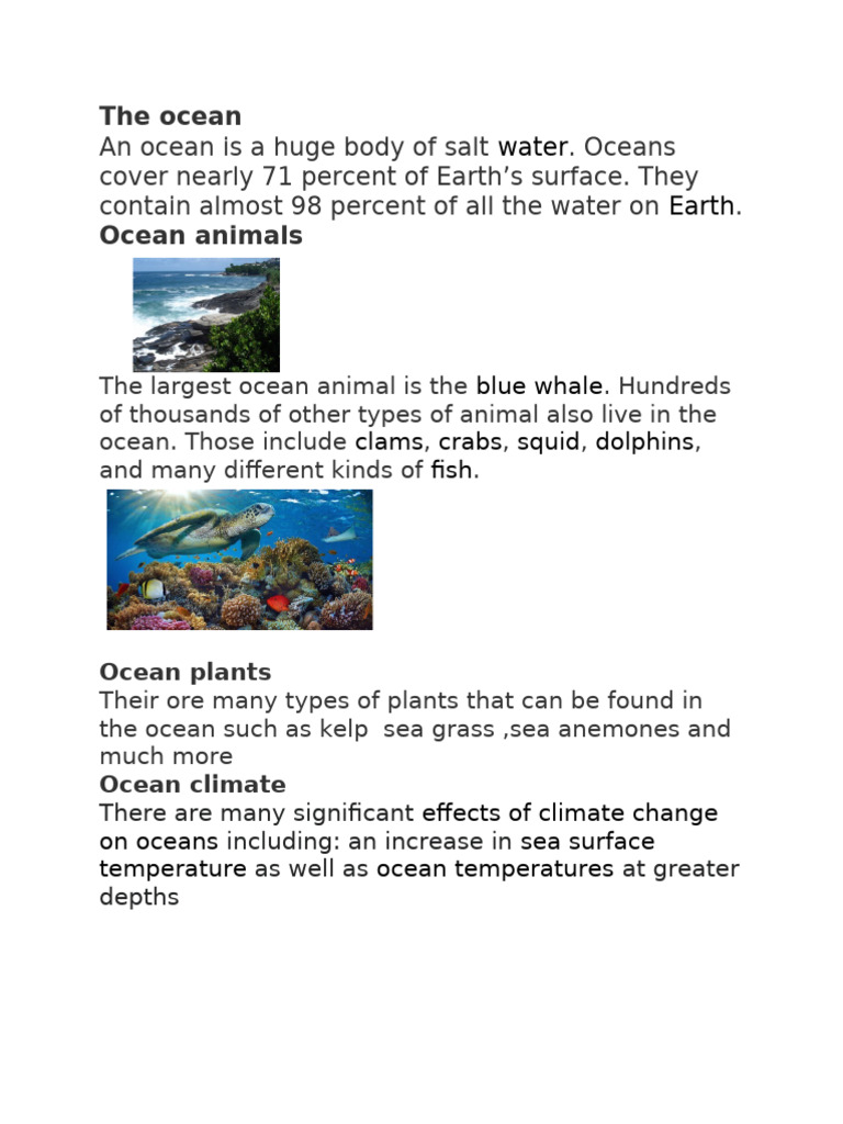 An Ocean Is A Huge Body of Salt - Oceans Cover Nearly 71 Percent of ...