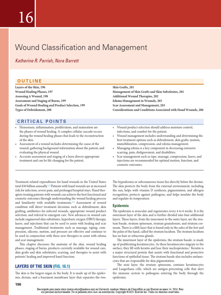 Wound Classification and Management | PDF | Wound Healing | Wound