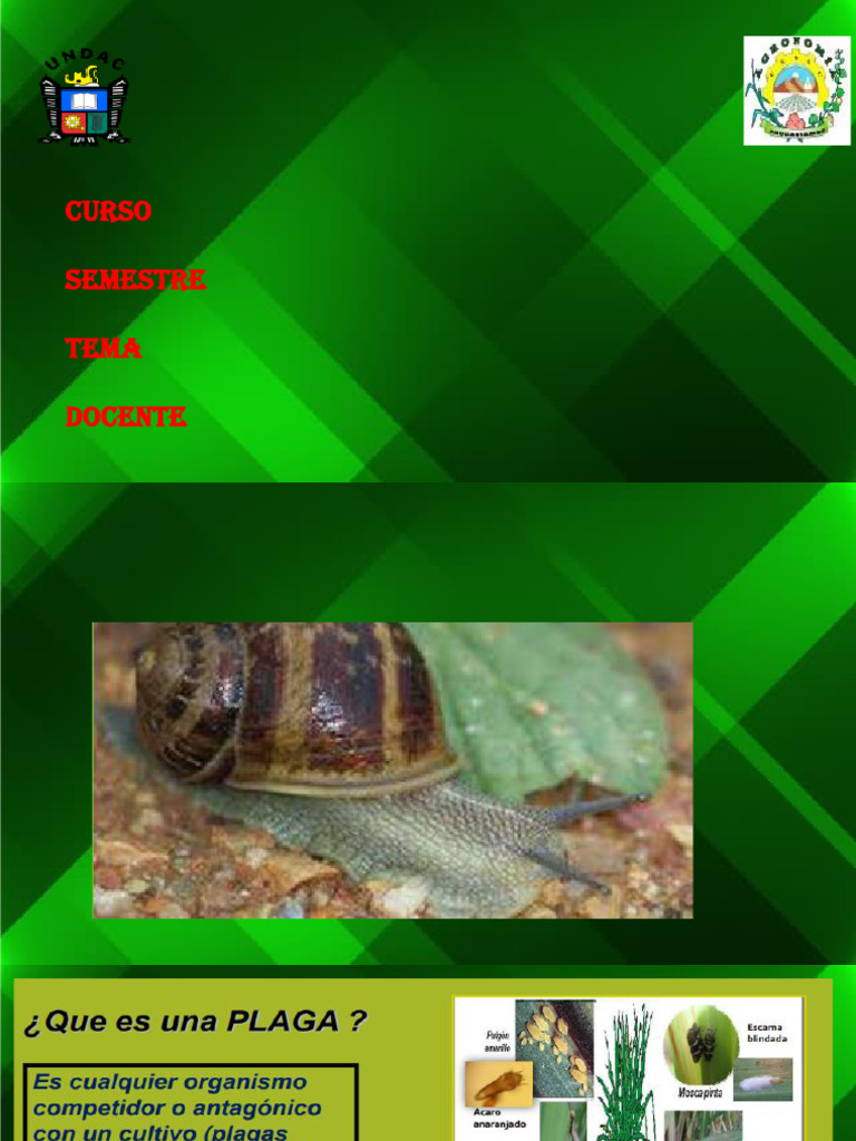 Manejo de Plagas y Enfermedades Agrícolas | PDF | Insectos | Plaga ...