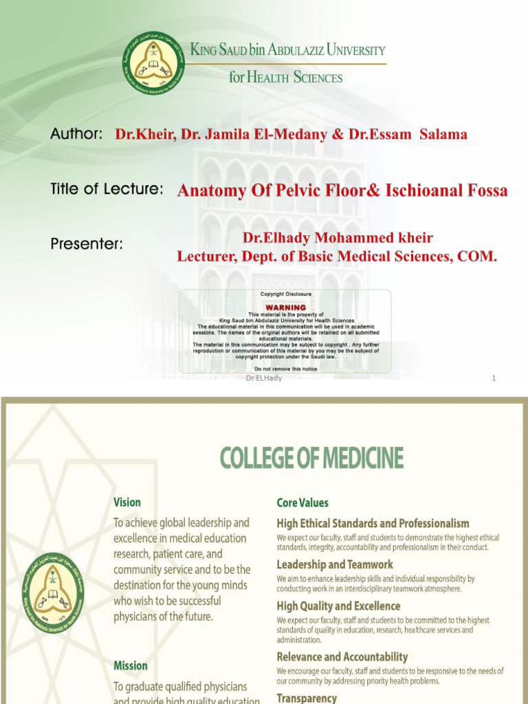 Lecture 4.2 Anatomy of Pelvic Floor and Ischioanal Fossa | PDF | Pelvis ...