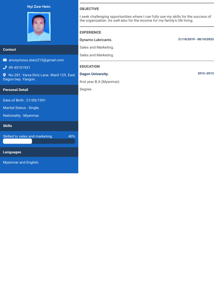 Nyi Zaw Hein CV | PDF