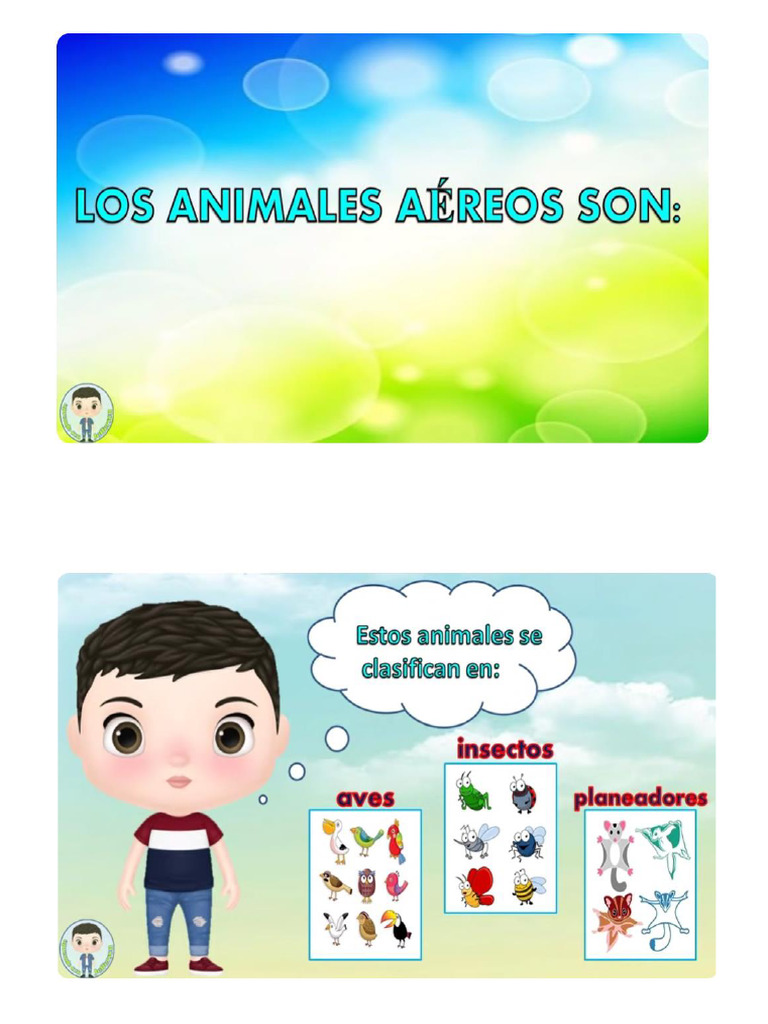 Las Aves | PDF
