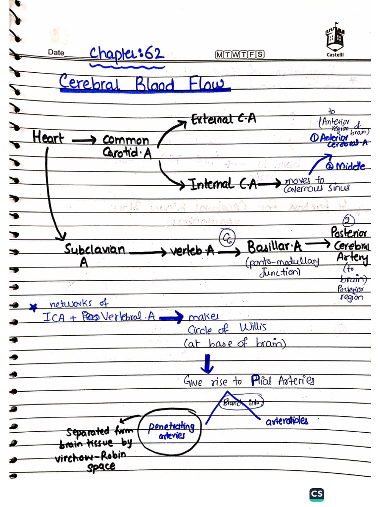 Chap-62 Physio (Huma Khattak TMM) | PDF