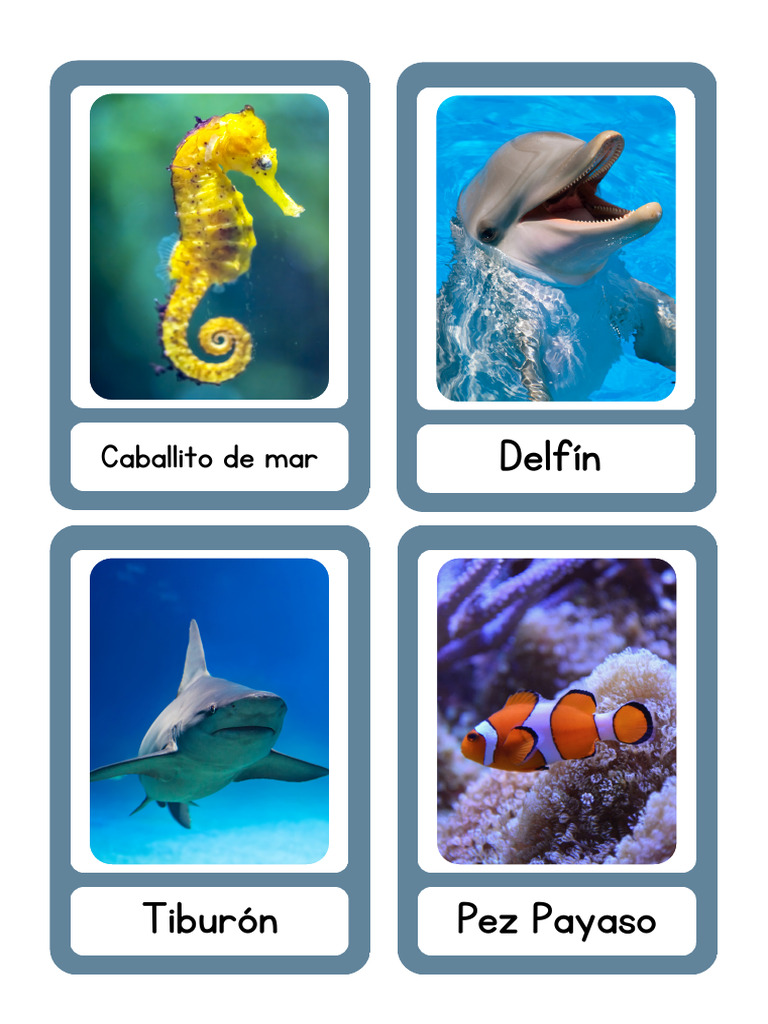 Tarjetas Animales Marinos | PDF