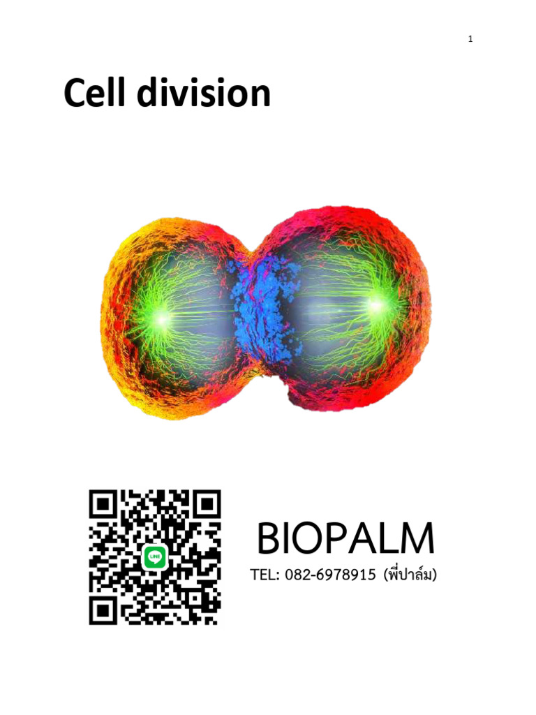 Cell Division | PDF