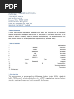 HUL Project Report 2024 25 Final | PDF