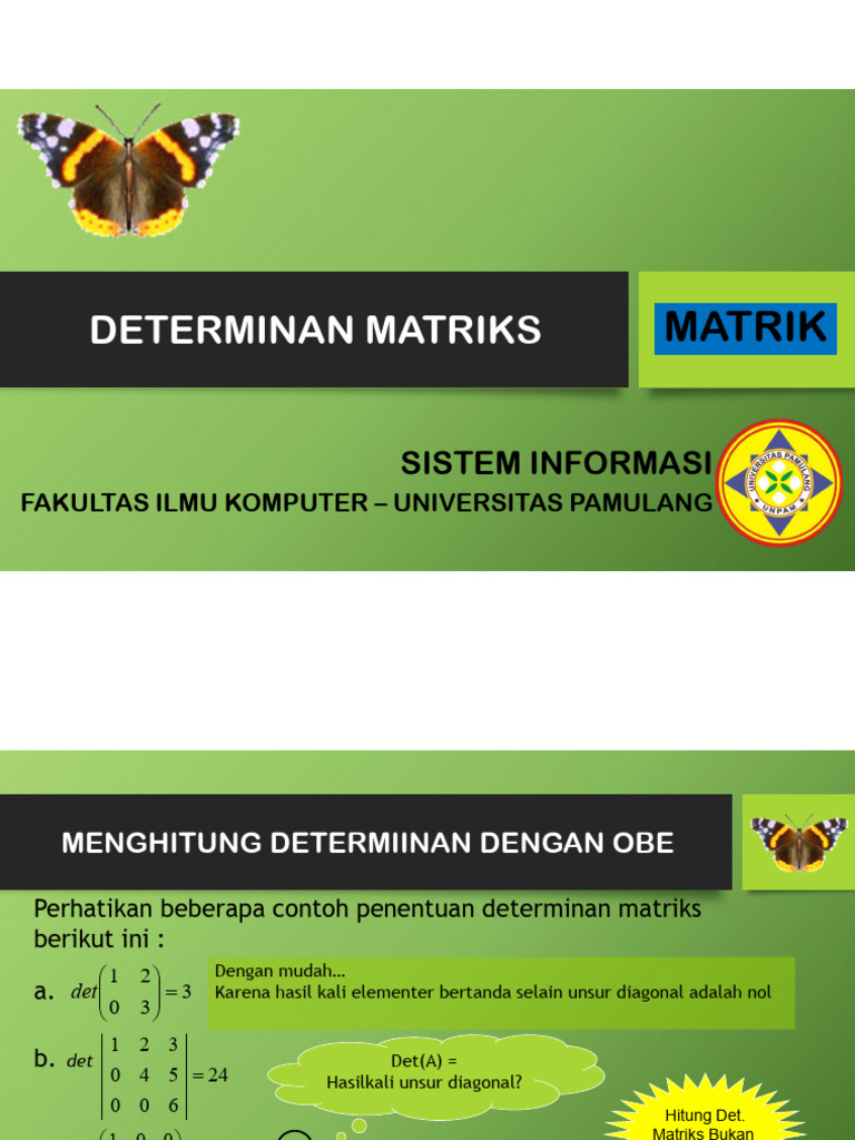Aljabar Linier Dan Matriks - Determinan Matriks DG OBE | PDF