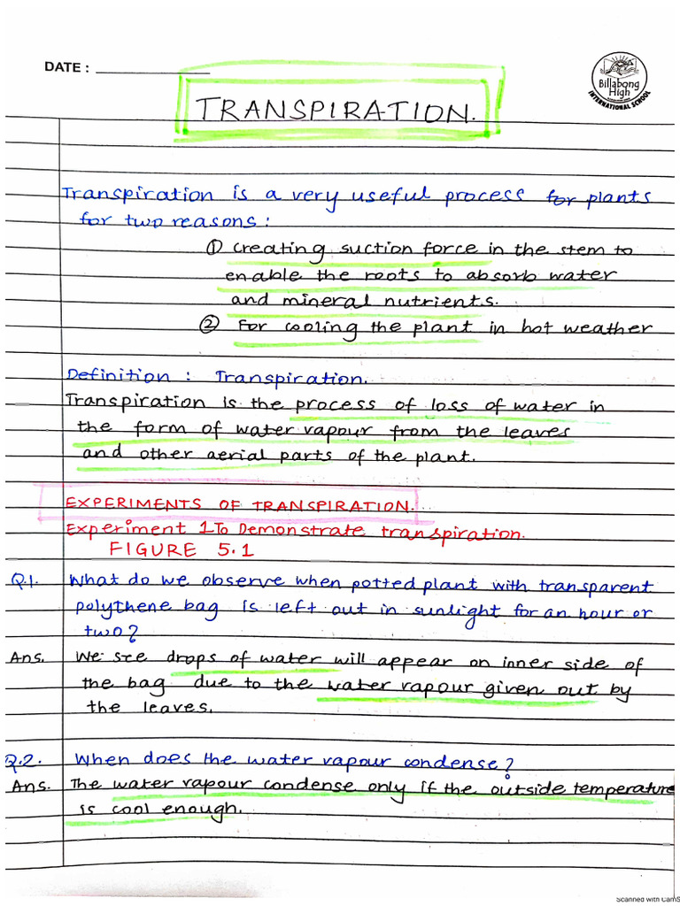 04.transpiration Bio Ch.5 | PDF