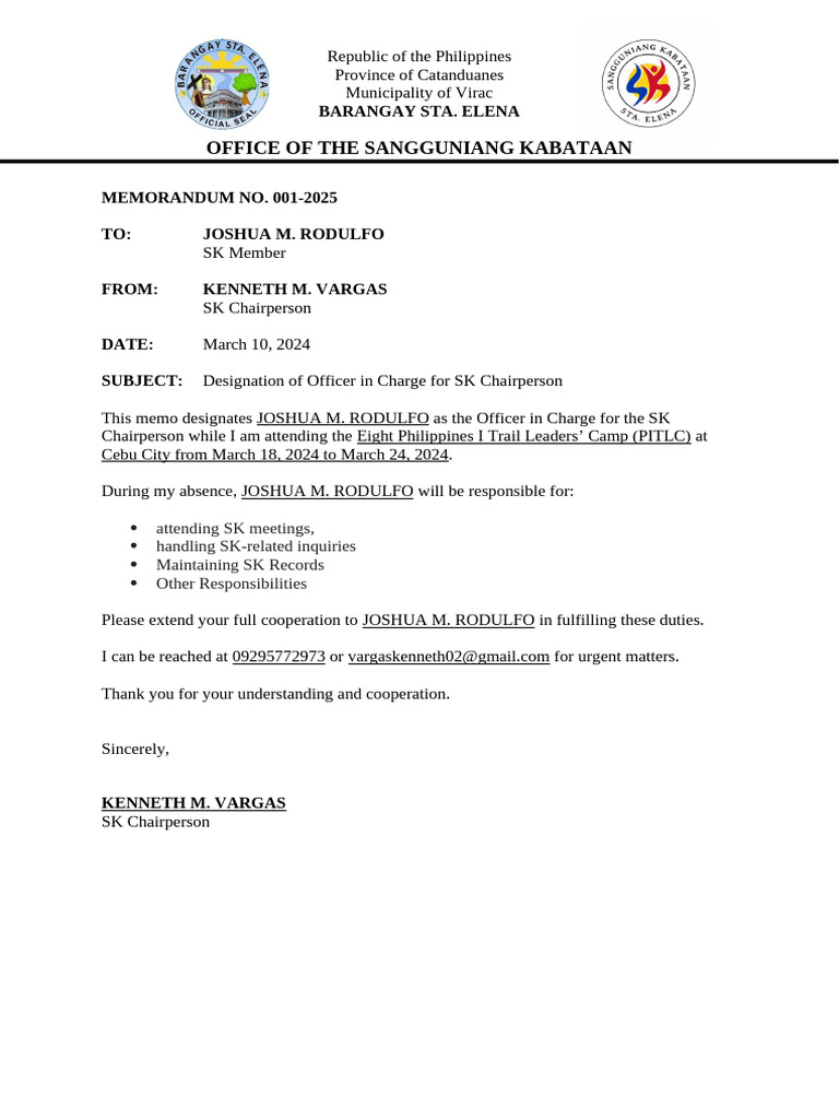 Designation of OIC for SK Chairperson | PDF
