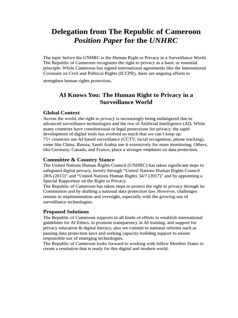 Cameroon - Position Paper | PDF