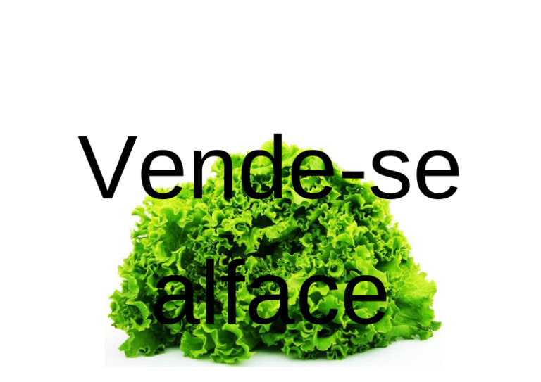 Vende Se Alface | PDF